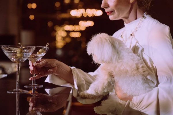 Dog Drank Alcohol? Here’s What to Do · Falls Village Vet Hospital